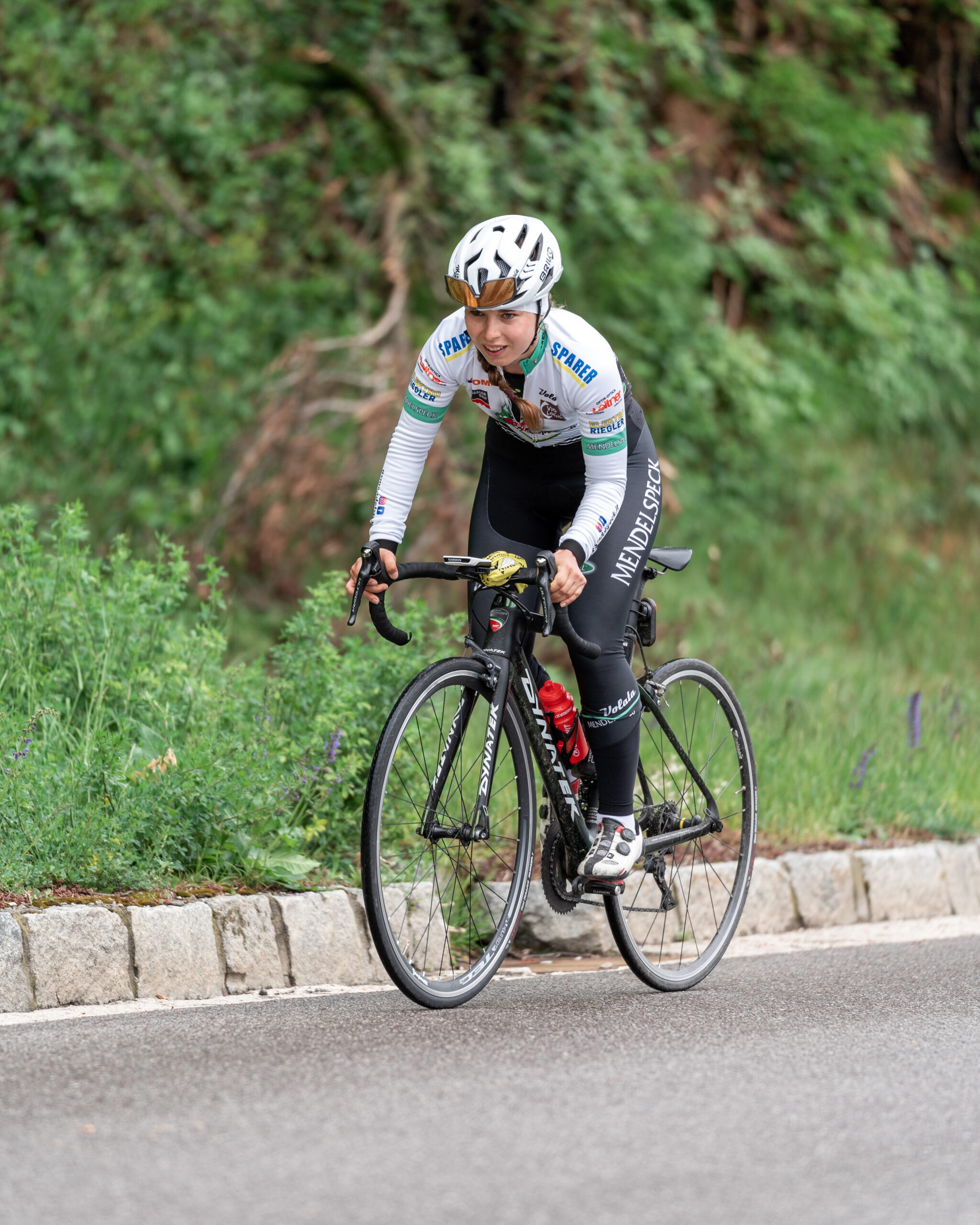 Photography - Joel D'Angelone